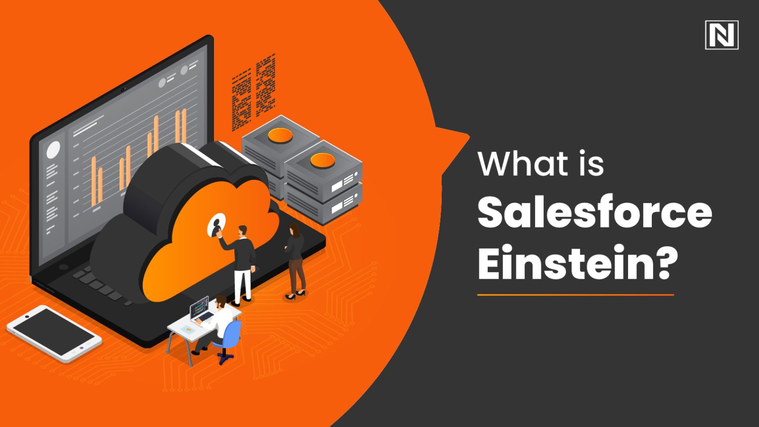 What is Salesforce Einstein - Nirvana Lab