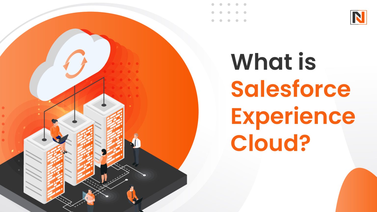 What is Salesforce Experience Cloud? - Nirvana Lab